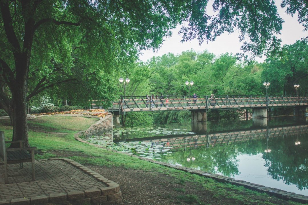 Teddy Bear Park Dallas Travel Guide - Passport To Eden
