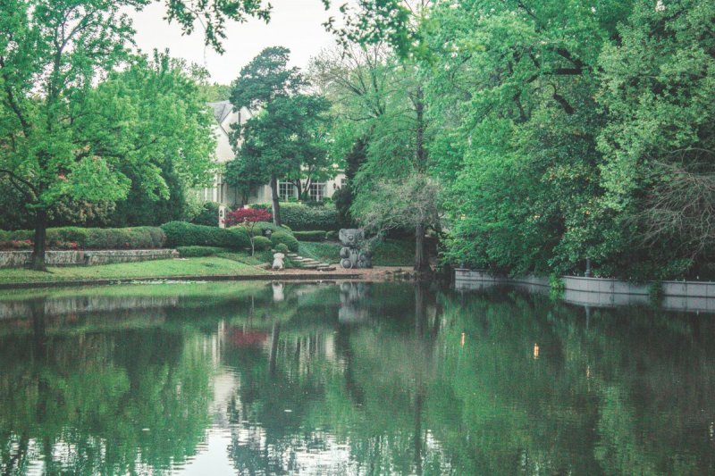 Teddy Bear Park Dallas Travel Guide - Passport To Eden