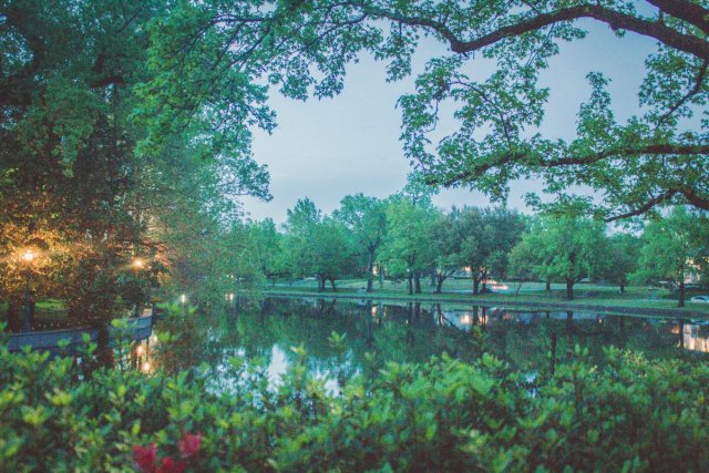 Teddy Bear Park Dallas Travel Guide - Passport To Eden