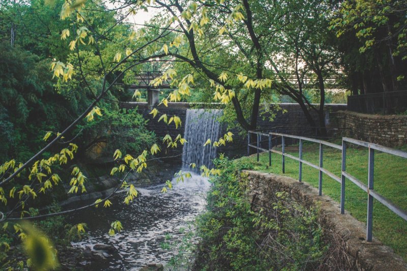 Best Parks In Dallas For a Picnic Escape - Passport To Eden
