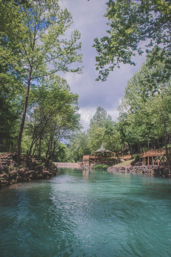 Blue Spring Arkansas: 7 Must-Know Travel Tips - Passport To Eden