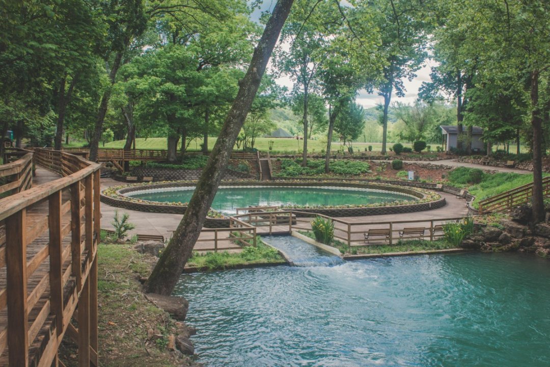 Blue Spring Arkansas: 7 Must-Know Travel Tips - Passport To Eden