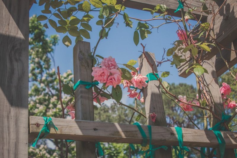 A Guide To Visiting The Tyler Rose Garden - Passport To Eden