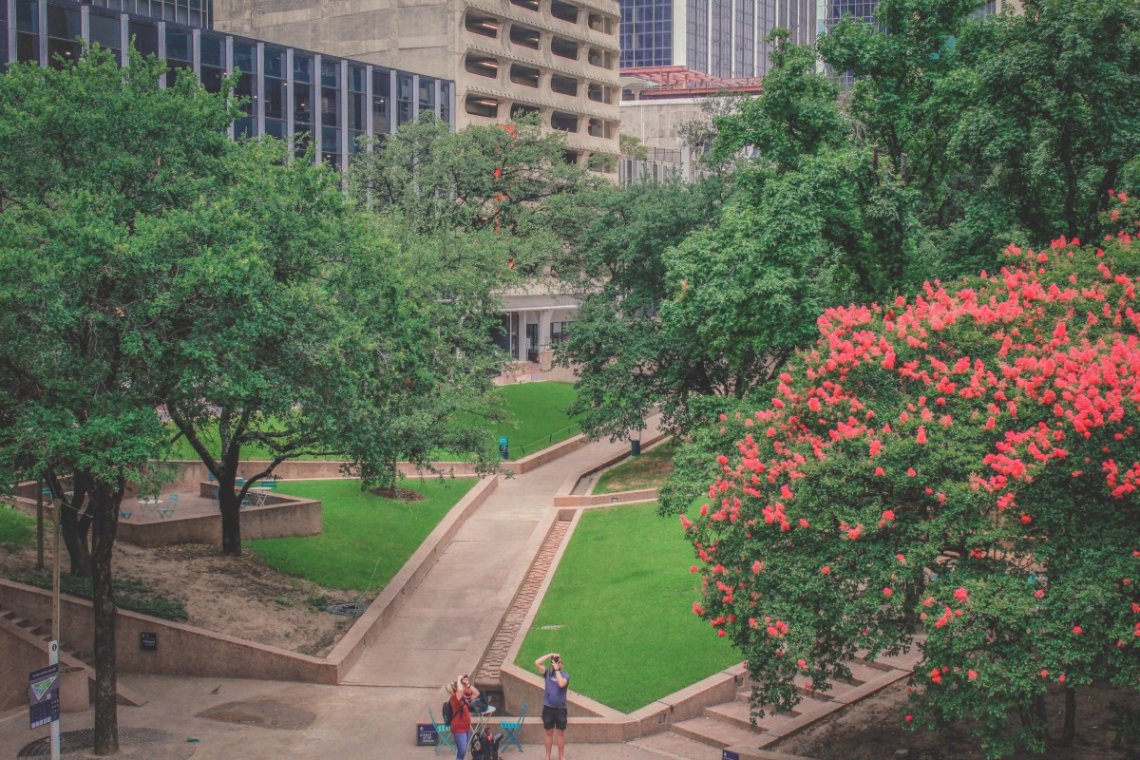 Best Parks In Dallas For a Picnic Escape - Passport To Eden