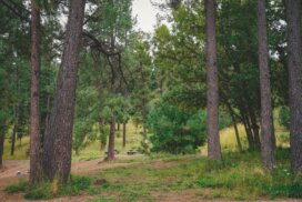20 Photos To Inspire Your Next Ruidoso Trip - Passport To Eden