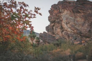 Is There A Real Life Pride Rock? Yes, Here's How You Can Visit ...