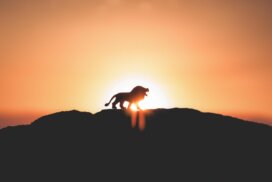 Is There A Real Life Pride Rock? Yes, Here's How You Can Visit ...