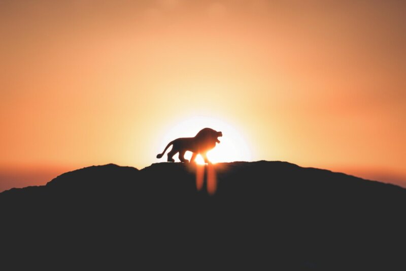 Is There A Real Life Pride Rock? Yes, Here's How You Can Visit ...