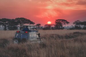 Is There A Real Life Pride Rock? Yes, Here's How You Can Visit ...