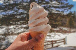 What Is A Creemee? Where To Find The Best Creemees In Vermont ...