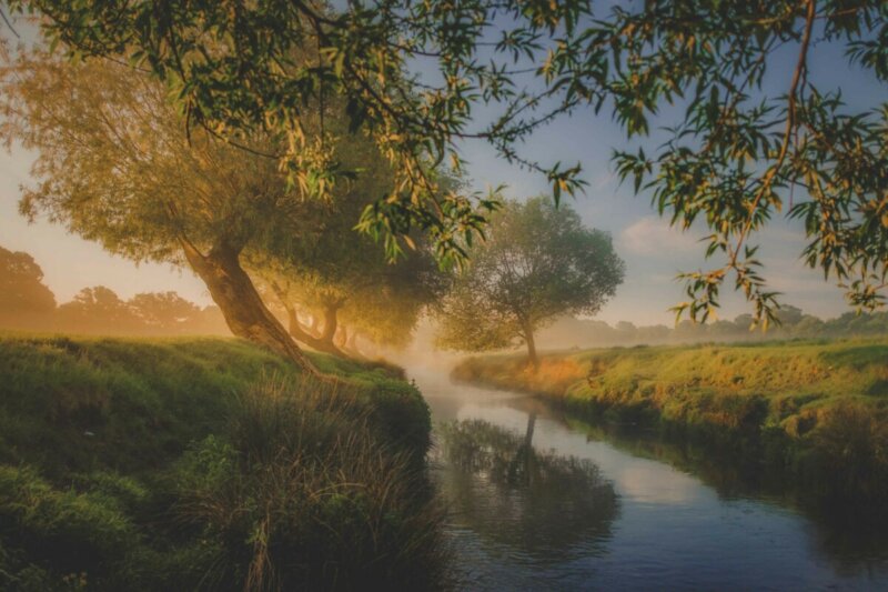 12 Atmospheric Cottagecore Movies (And Where To Stream Them) - Passport ...