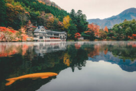 12 Cottagecore Towns To Visit And Places To See - Passport To Eden