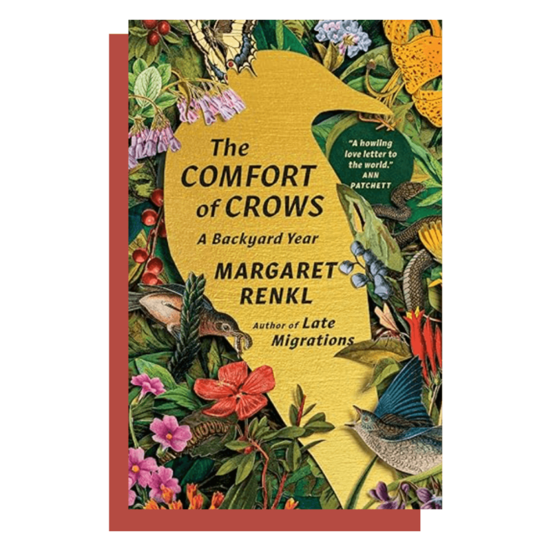 12 Atmospheric Cottagecore Books For A Cozy Read - Passport To Eden